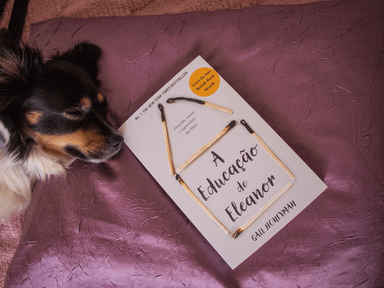 ELEANOR OLIPHANT IS COMPLETELY FINE [GAIL HONEYMAN] - sofia costa lima