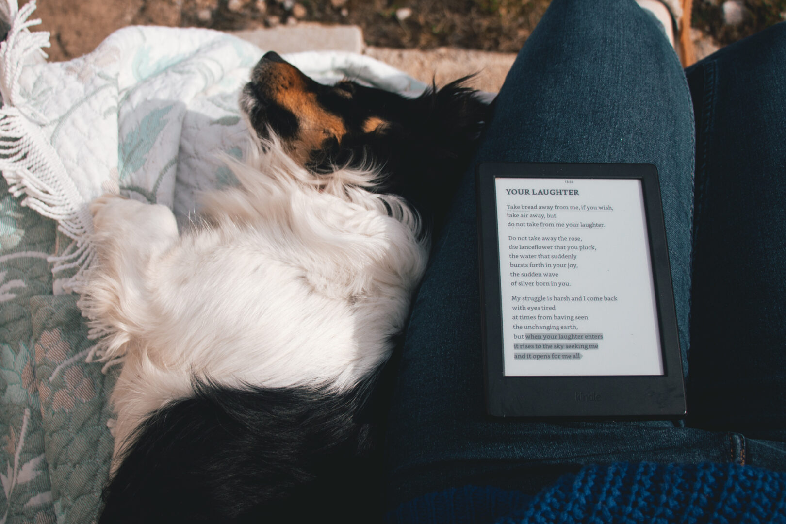 love poems [pablo neruda] - sofia costa lima