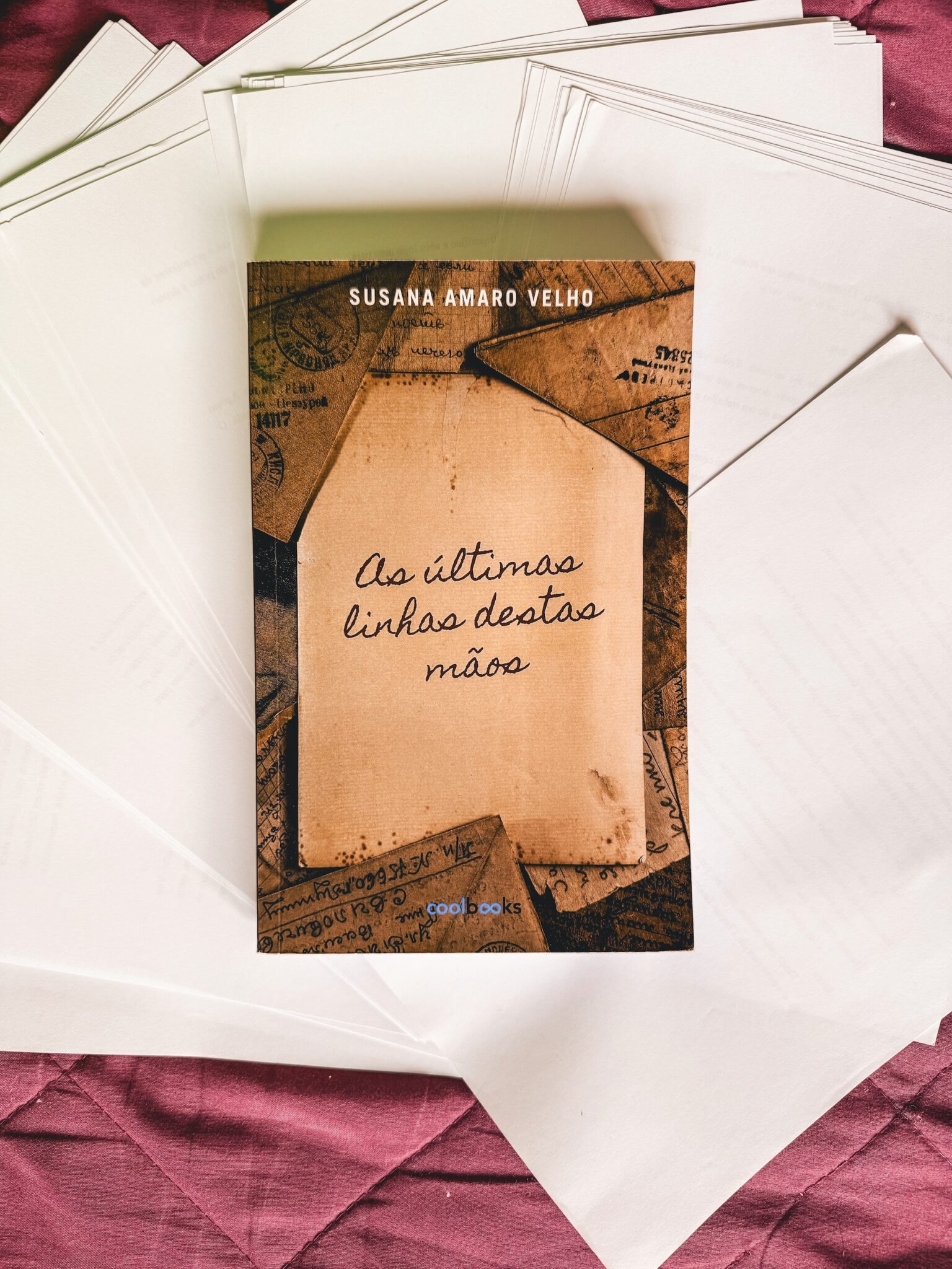 as últimas linhas destas mãos [susana amaro velho] - sofia costa lima