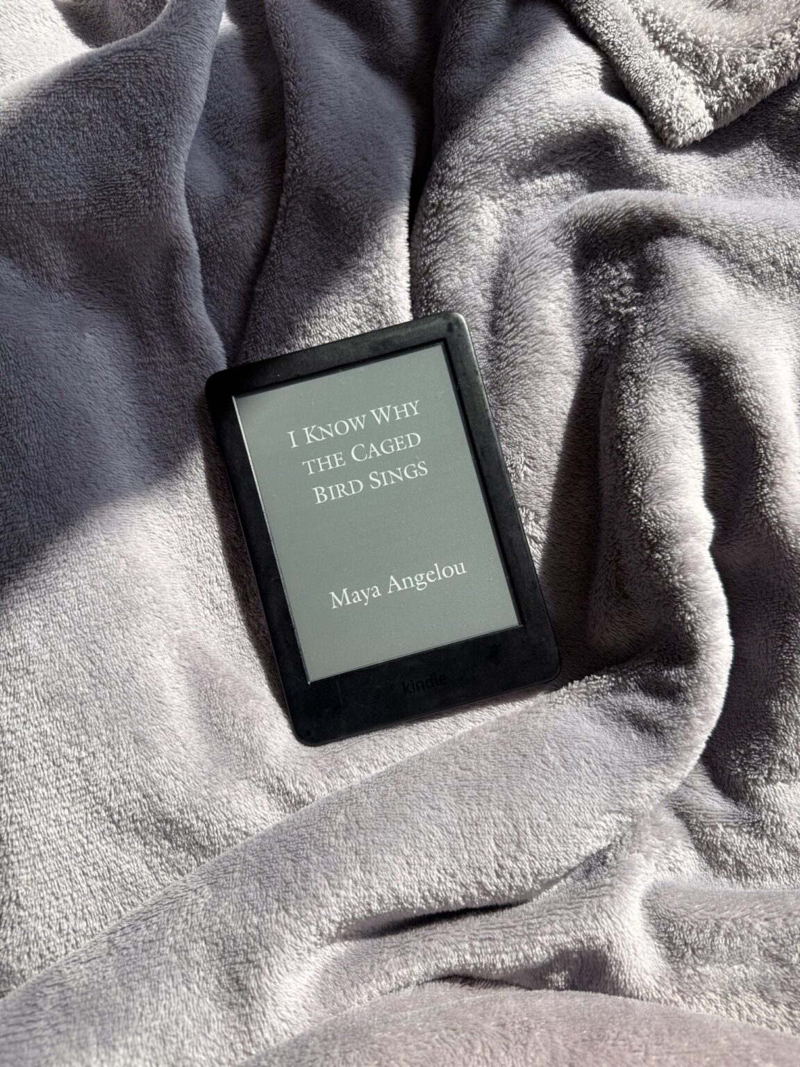 i know why the caged bird sings [maya angelou] - sofia costa lima