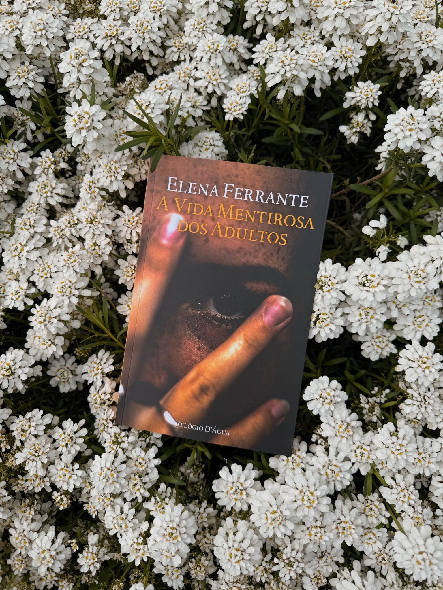 a vida mentirosa dos adultos [elena ferrante] - sofia costa lima